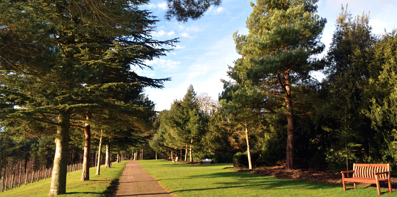 Painshill | 18th century landscape garden - Painshill Park Trust