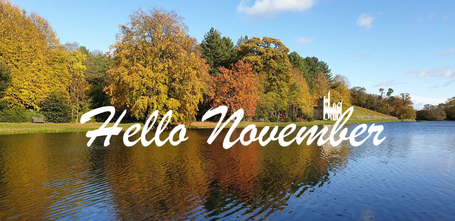 5 things to enjoy at Painshill in November - Painshill
